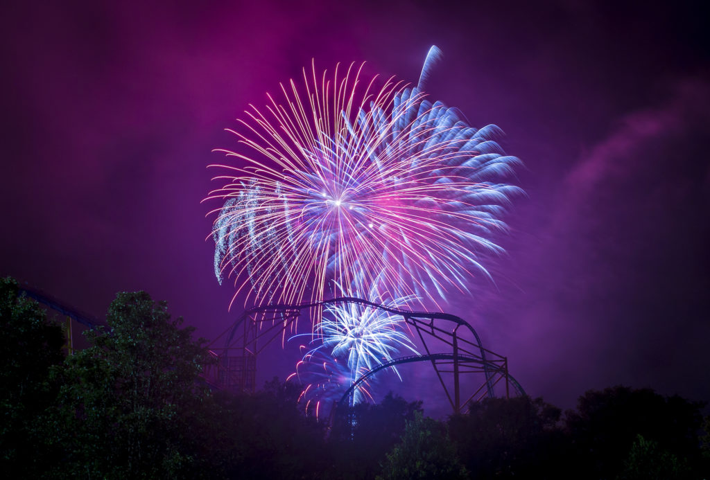 Summer Nights Come to Life During Electric Ocean at SeaWorld - Life ...